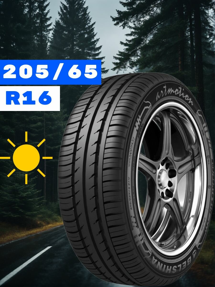 Автошина 205/65R16 95H BEL-270 Белшина TBL