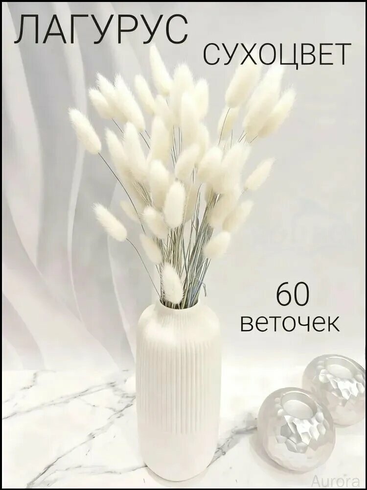 Сухоцветы Лагурус, 55 см, 100 гр, 60 шт
