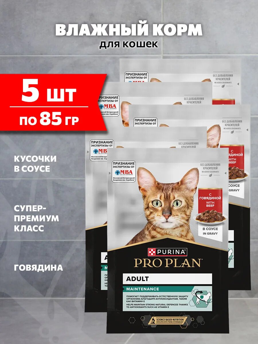Корм влажный Pro Plan Maintenance для взрослых кошек, говядина в соусе, 85 г 5 шт