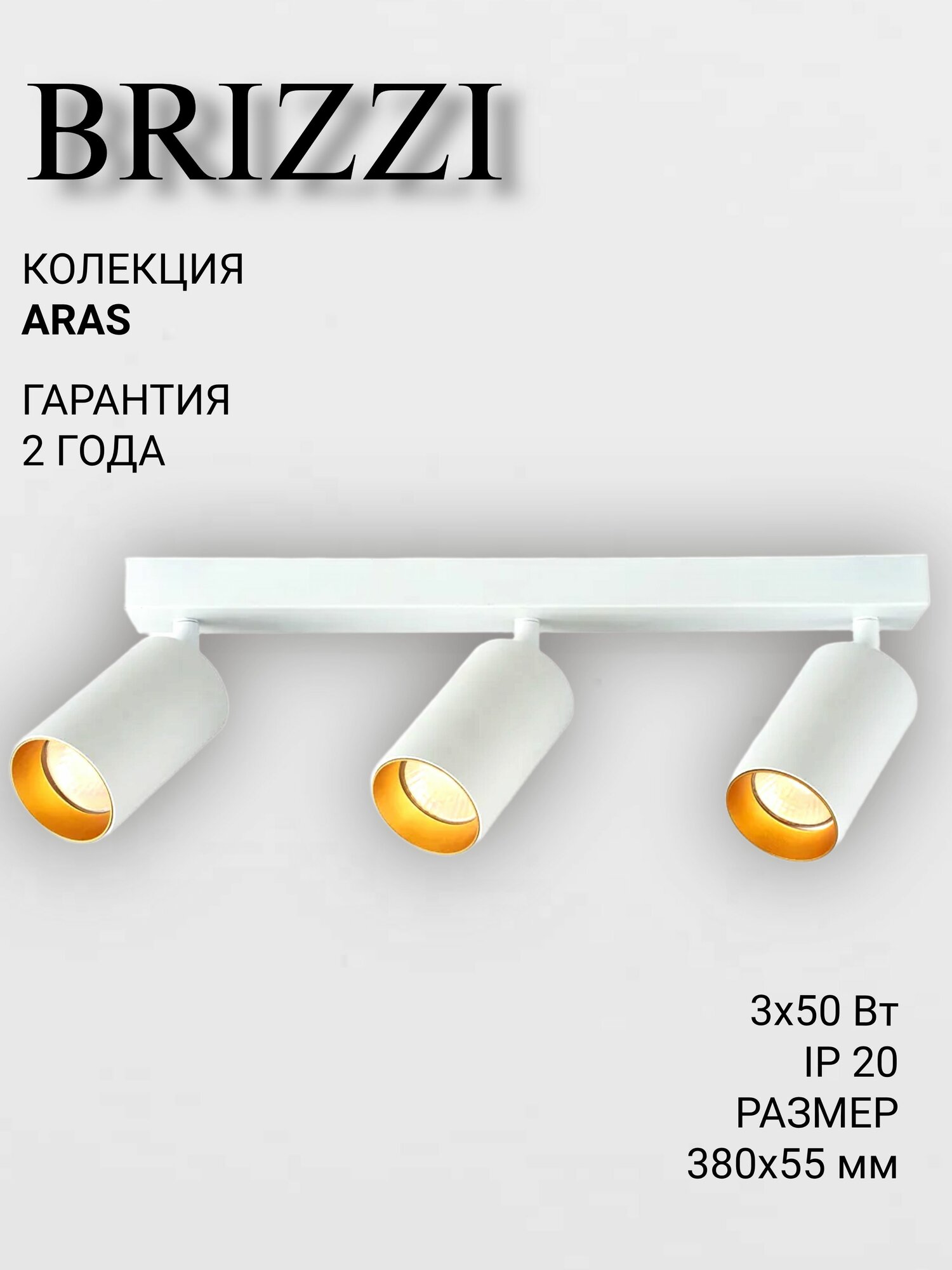 Потолочный светильник-спот BRIZZI ARAS BR08088