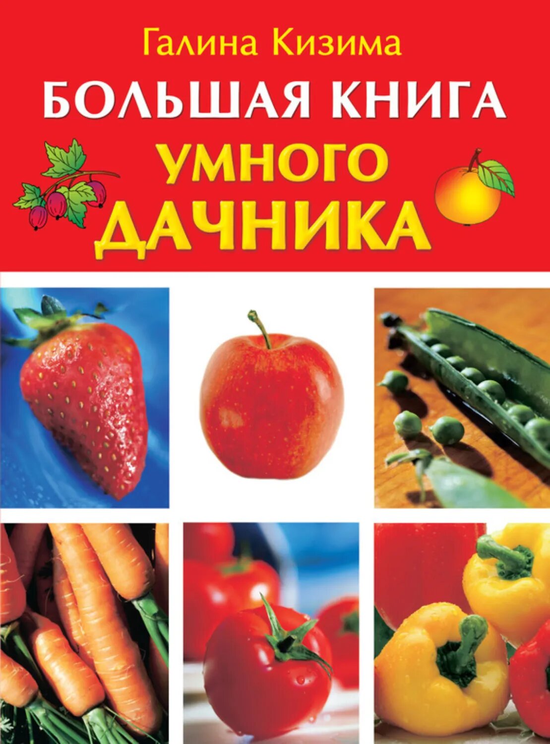 Большая книга умного дачника [Цифровая книга]