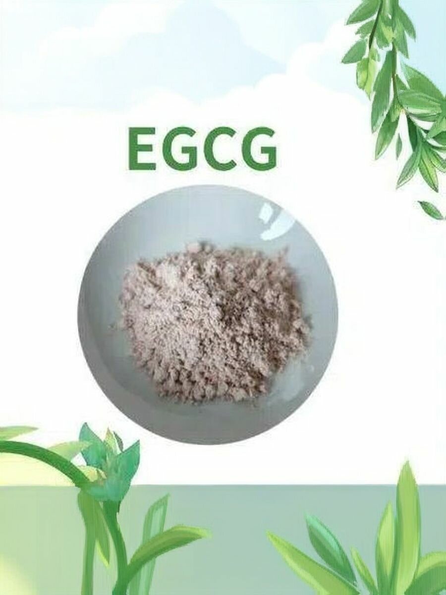 50 г эпикатехин 98% Чистый порошок EGCG Экстракт зеленого чая