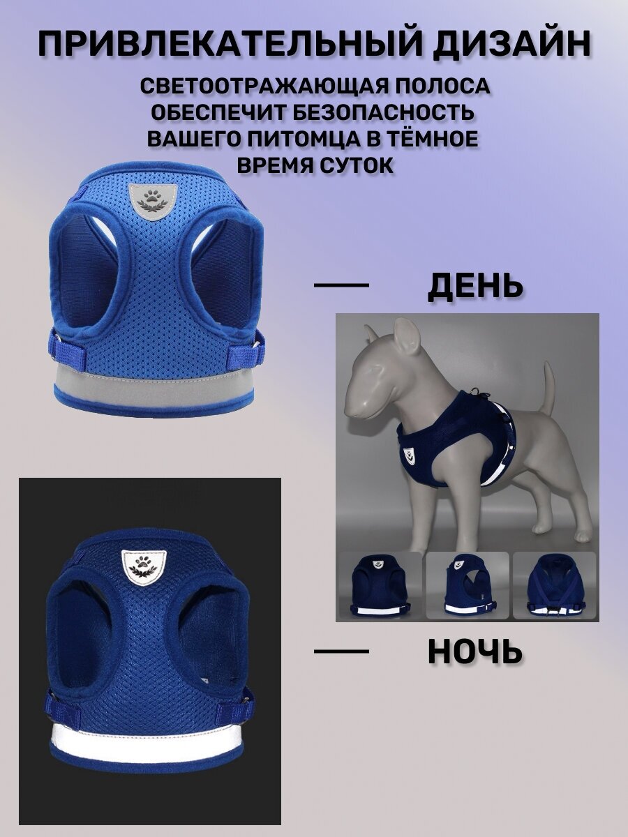 Шлейка с поводком для собак мелких и средних пород / Шлейка для кошек, S-Черная