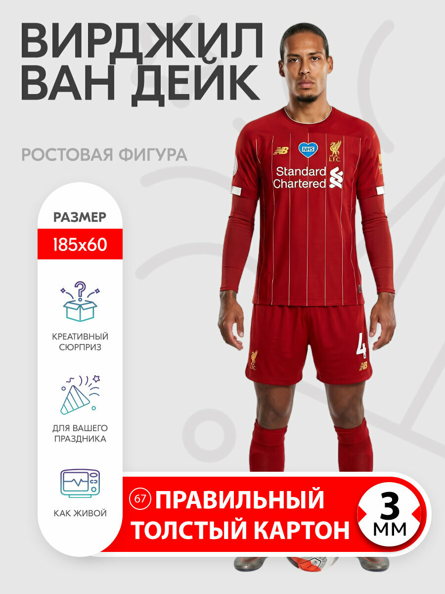 Аксессуар для фотосессий, Вирджил ван Дейк, футбол, ростовая фигура