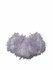 Шорты Feather-embellished metallic-thread shorts