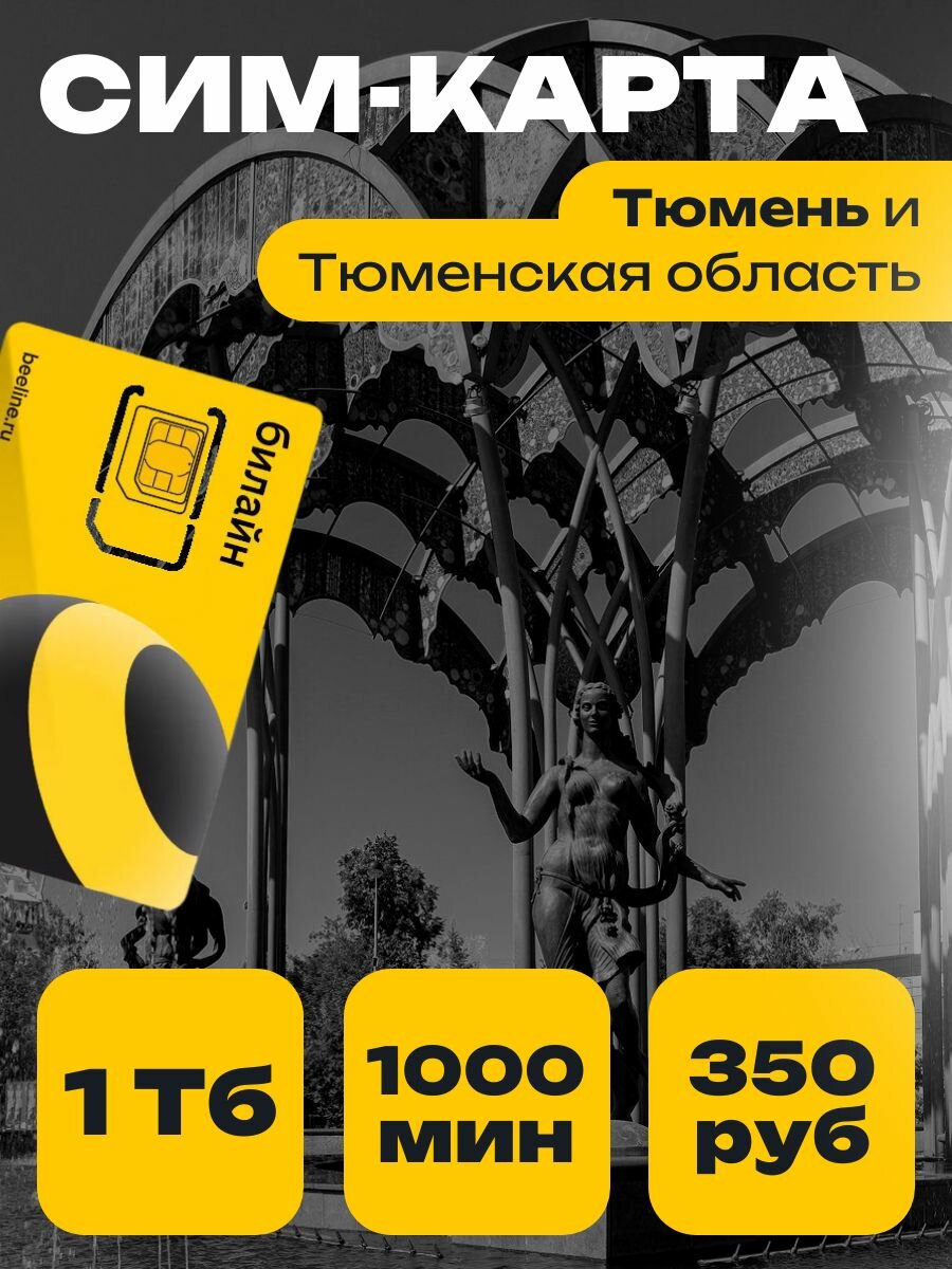 Сим-карта Билайн тариф Эксклюзивный Плюс Тюменская область 1000 Гб + 1000 минут за 350 руб.