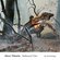 CD диск Steve Tibbetts - Hellbound Train: An Anthology (2CD) 2022, Digipack