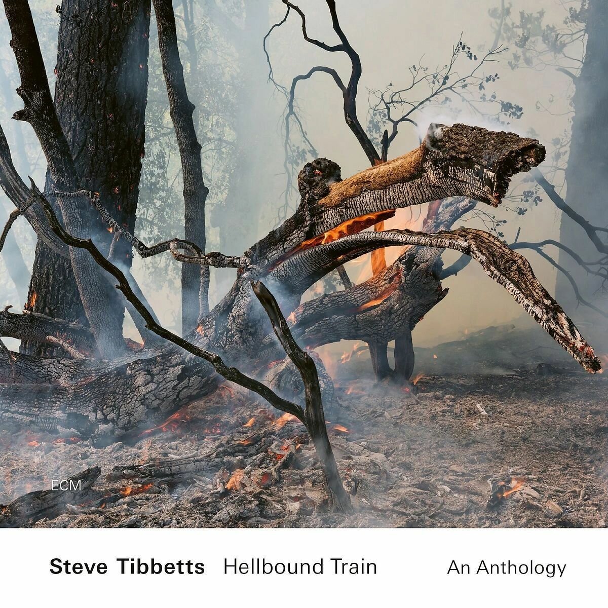 CD диск Steve Tibbetts - Hellbound Train: An Anthology (2CD) 2022, Digipack