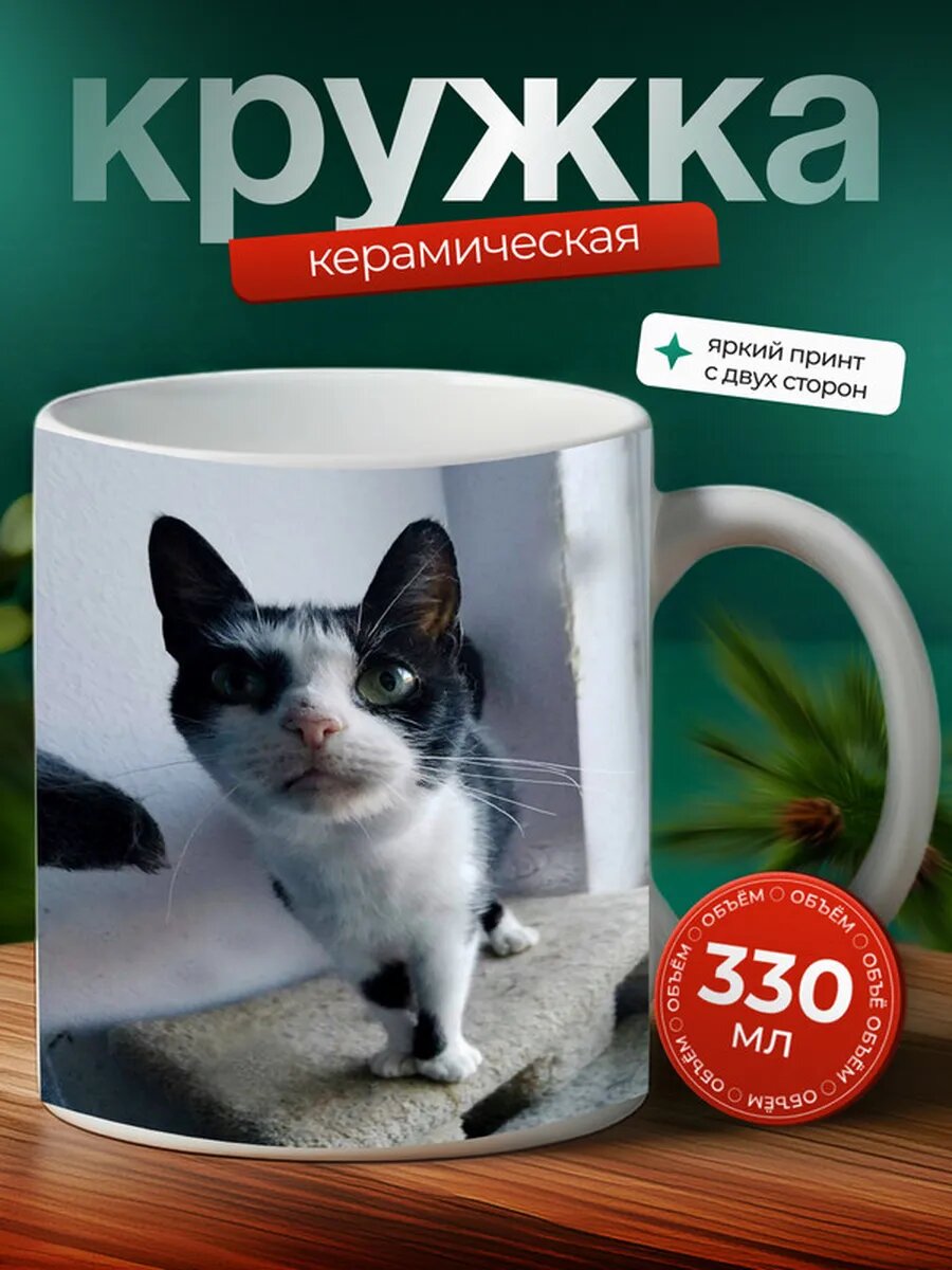 Кружка Триколорная манчкин кошка 35,