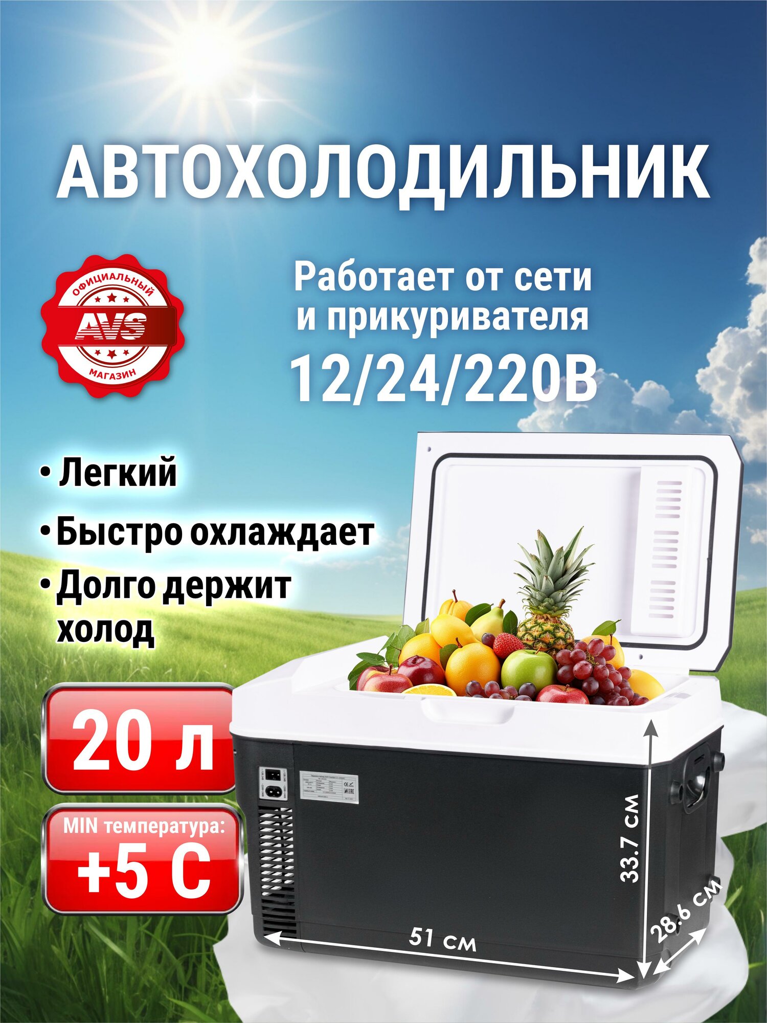 Автохолодильник AVS 20 л / Холодильник автомобильный, 12/24/220 CC-20WAC, сумка холодильник в машину