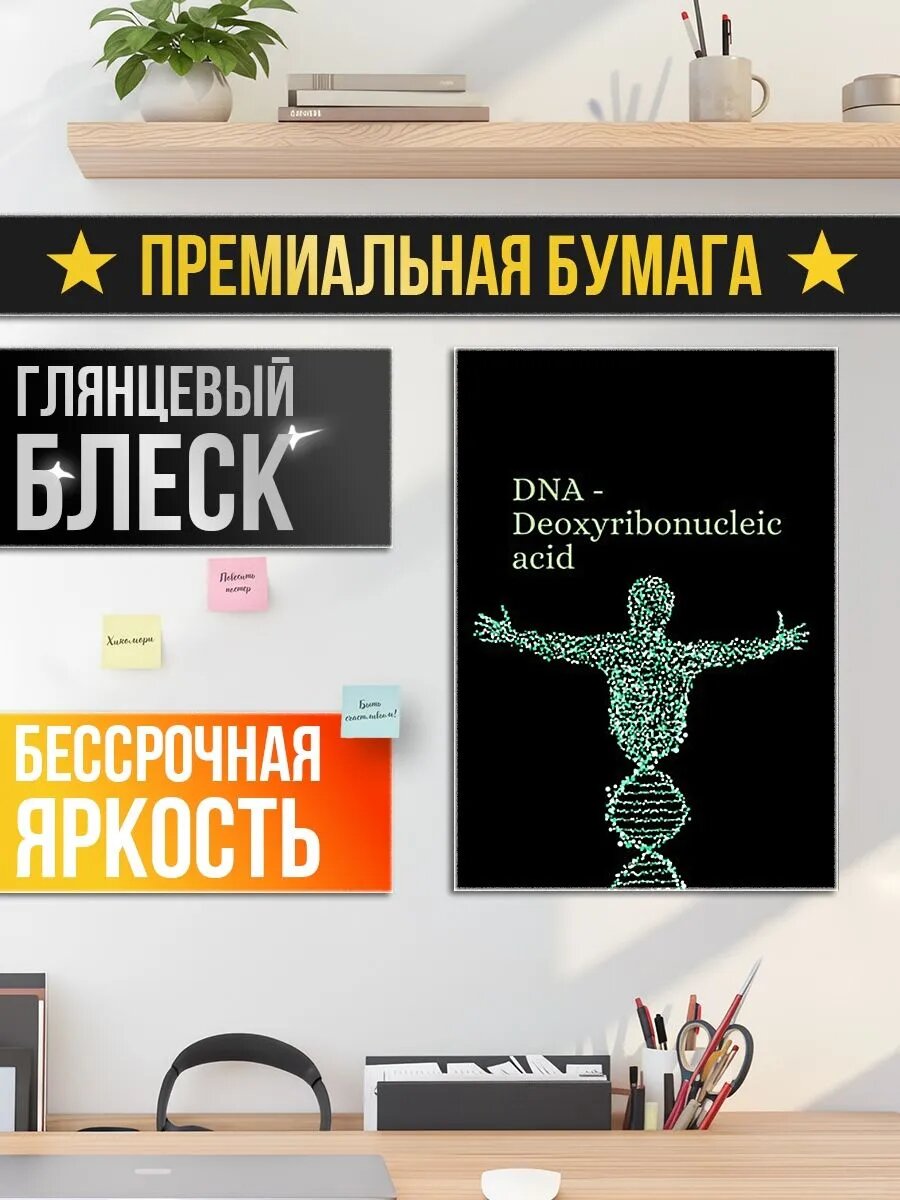 Постер на стену ДНК — фото 1