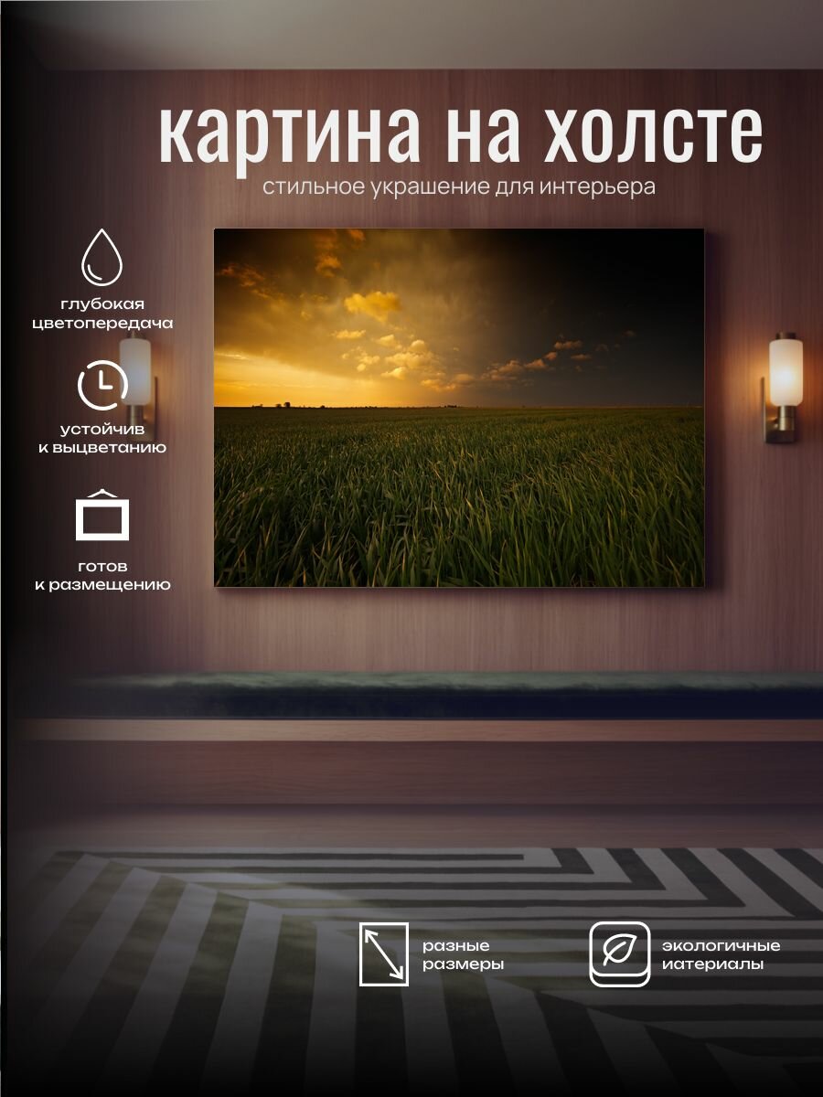 Картина на холсте Поле 60x40 см