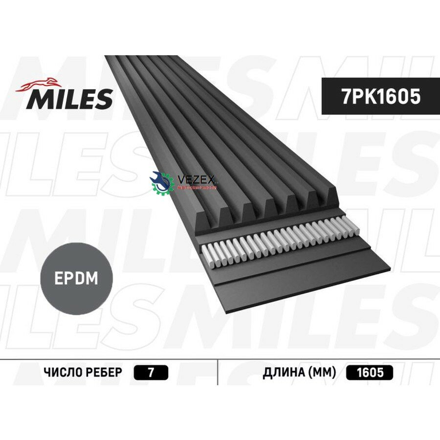 MILES 7PK1605 Ремень поликлиновой