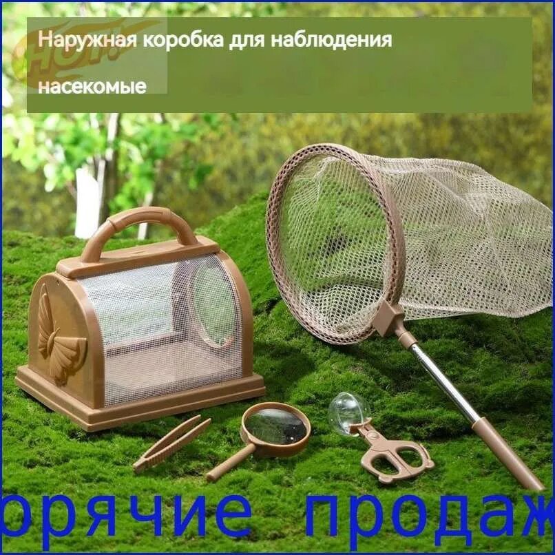 Коллекционер насекомых