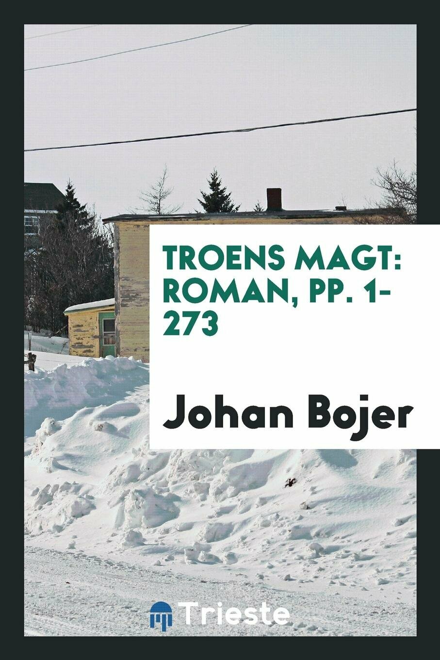 Troens magt. roman af Johan Bojer