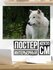 Плакат постер Белый волк