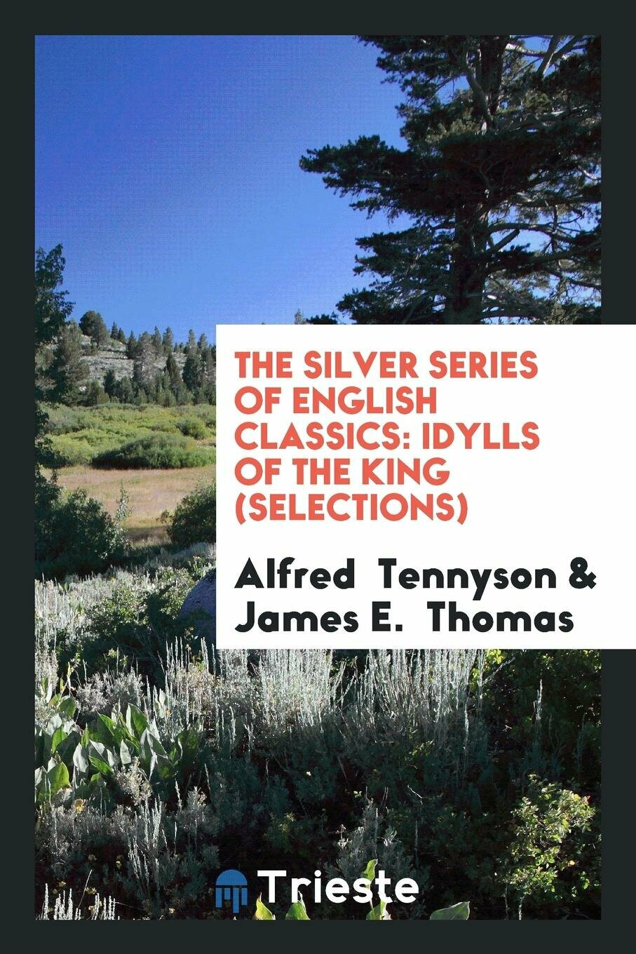 The Silver Series of English Classics. Idylls of the King (Selections)
