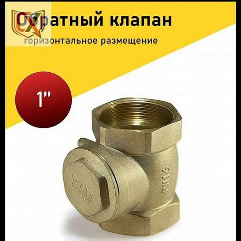 Обратный клапан горизонтальный лепестковый, 1", внутренняя/внутренняя резьба