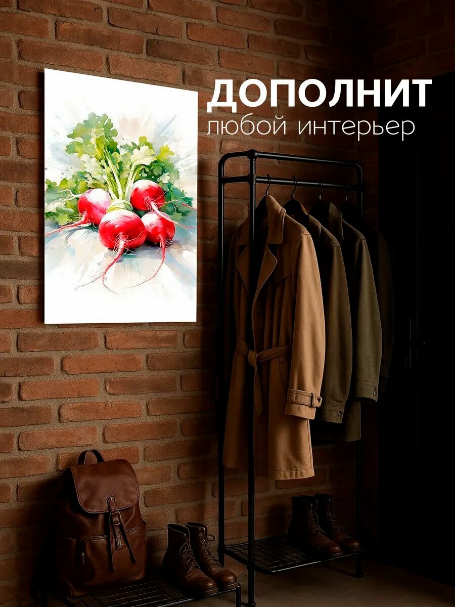 Постер для интерьера 40х60 Редис — фото 1
