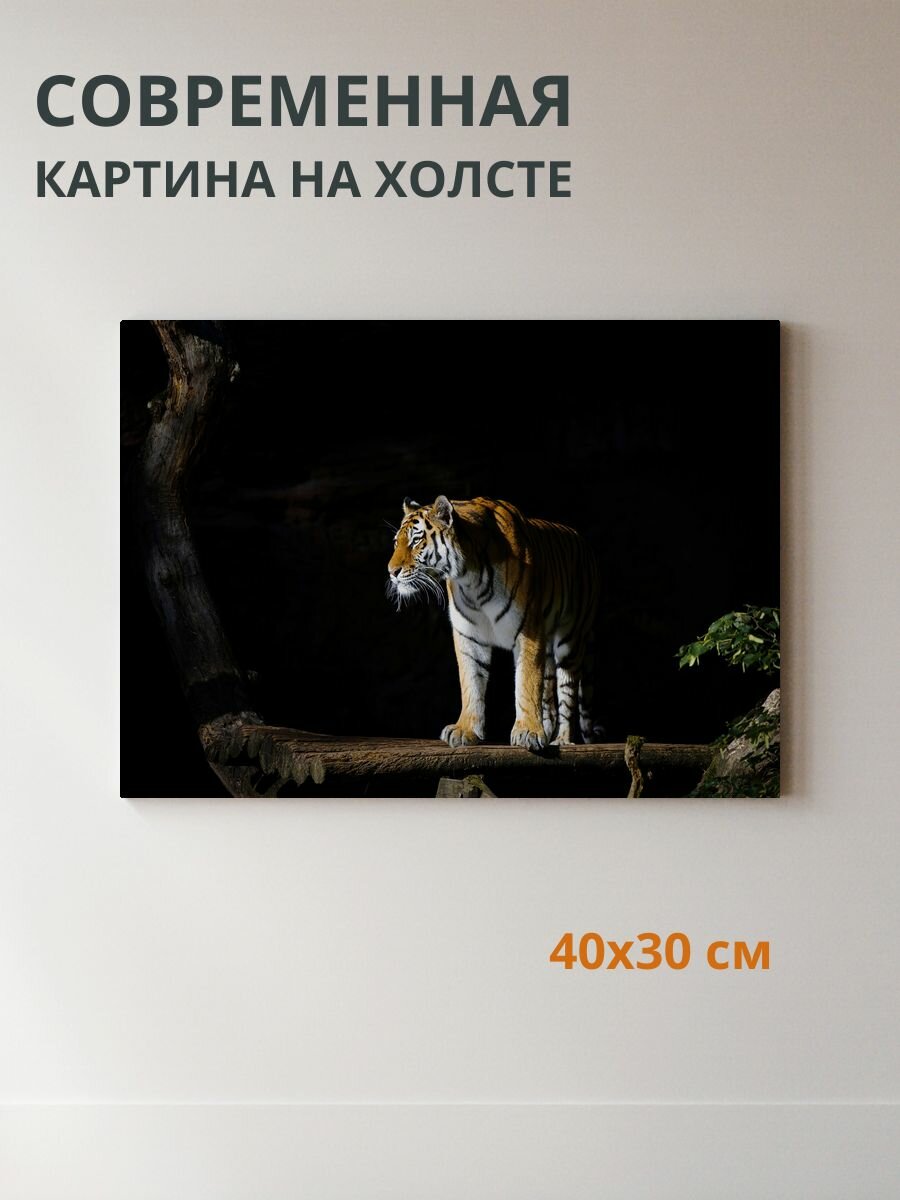 Картина на холсте Тигр 40x30 см