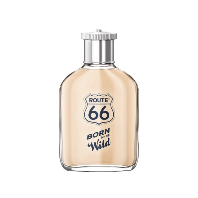 Route 66 Born To Be Wild eau de toilette мужская 100 мл - Рут 66 Борн Ту Би Вайлд