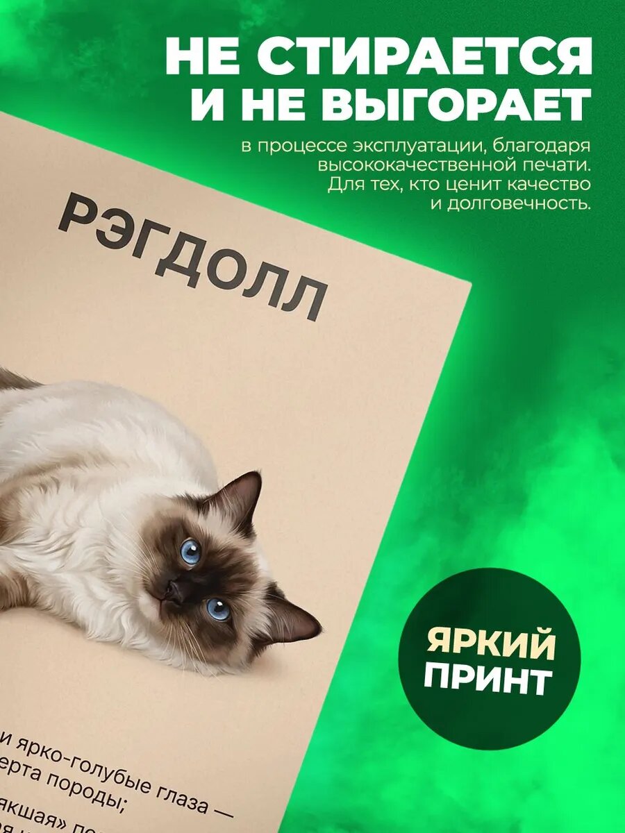 Тетрадь - А5 - Кошка - Рэгдолл — фото 1