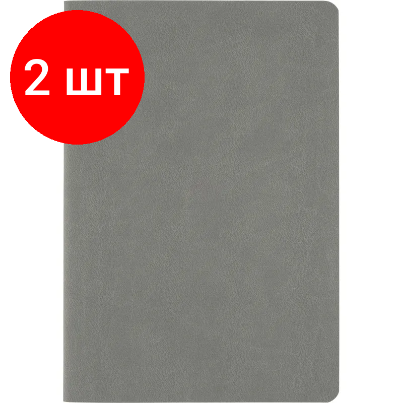 Комплект 2 штук, Бизнес-тетрадь А5, Bruno Visconti, MEGAPOLIS 60л. Клетка,7-60-550/28