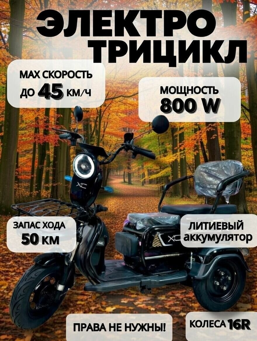 Электрический трёхколёсный скутер 800W: 50 км/ч, универсальный