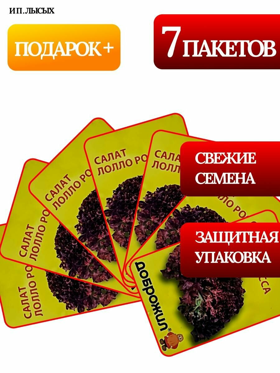 Семена Салат "Лолла Росса"