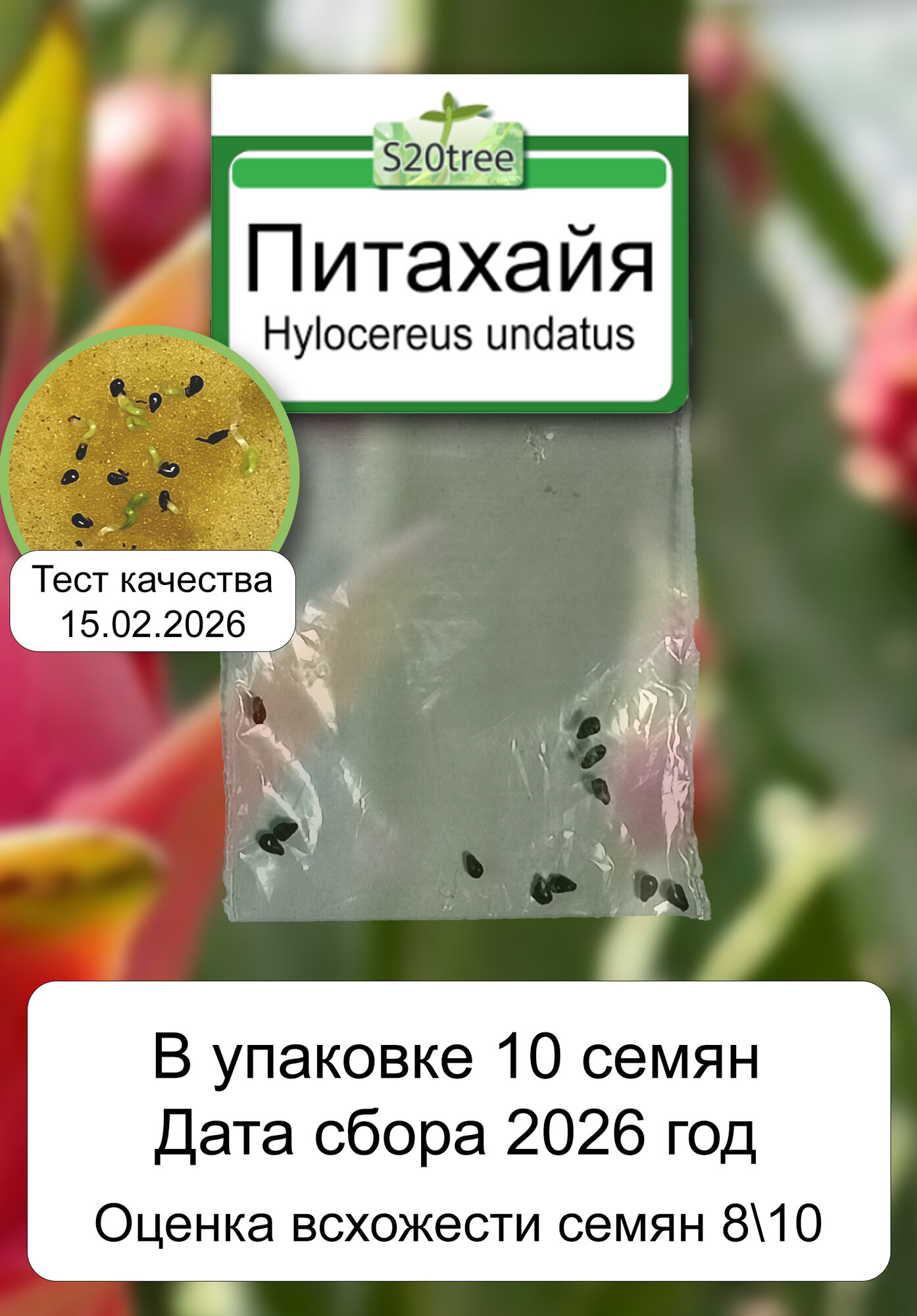 Питахайя - семена 10 шт