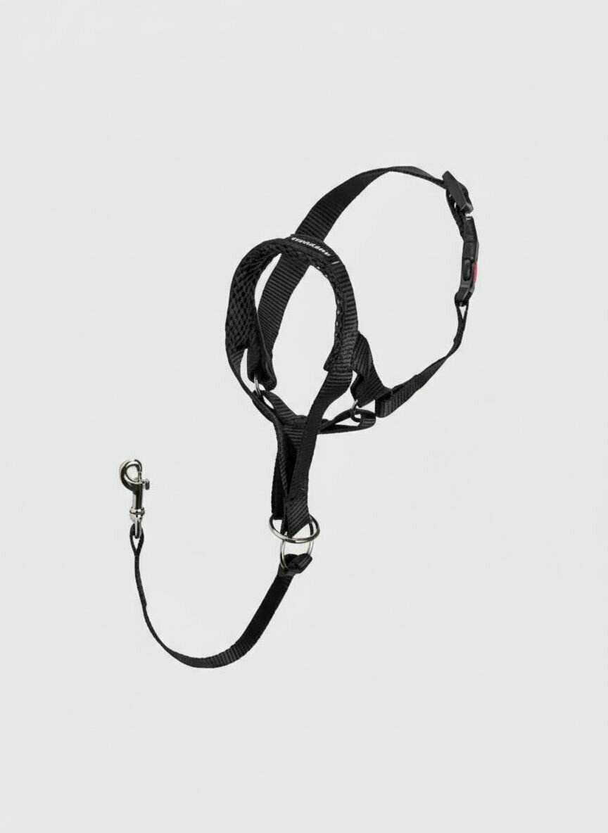 Недоуздок (Халти) корректор для собак CHOKERZ