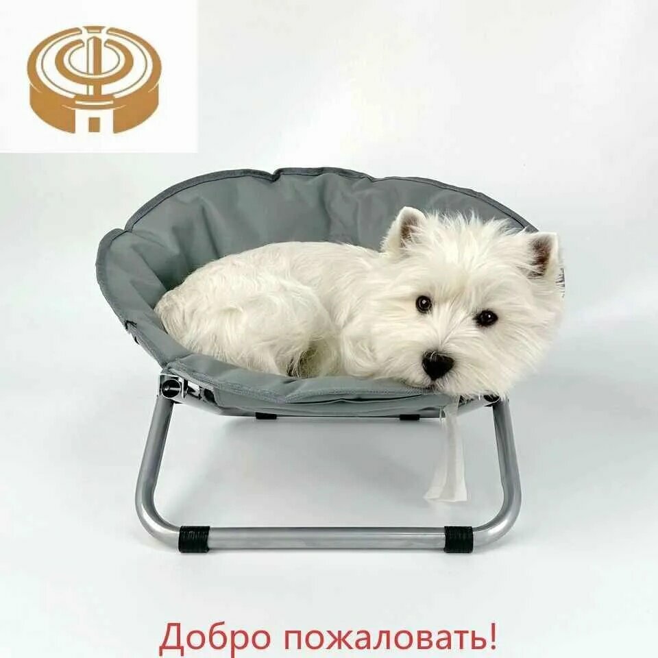 Портативный складной водонепроницаемый складной Лежак для животных
