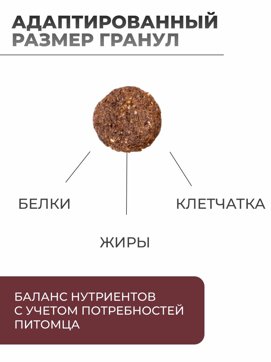Корм сухой