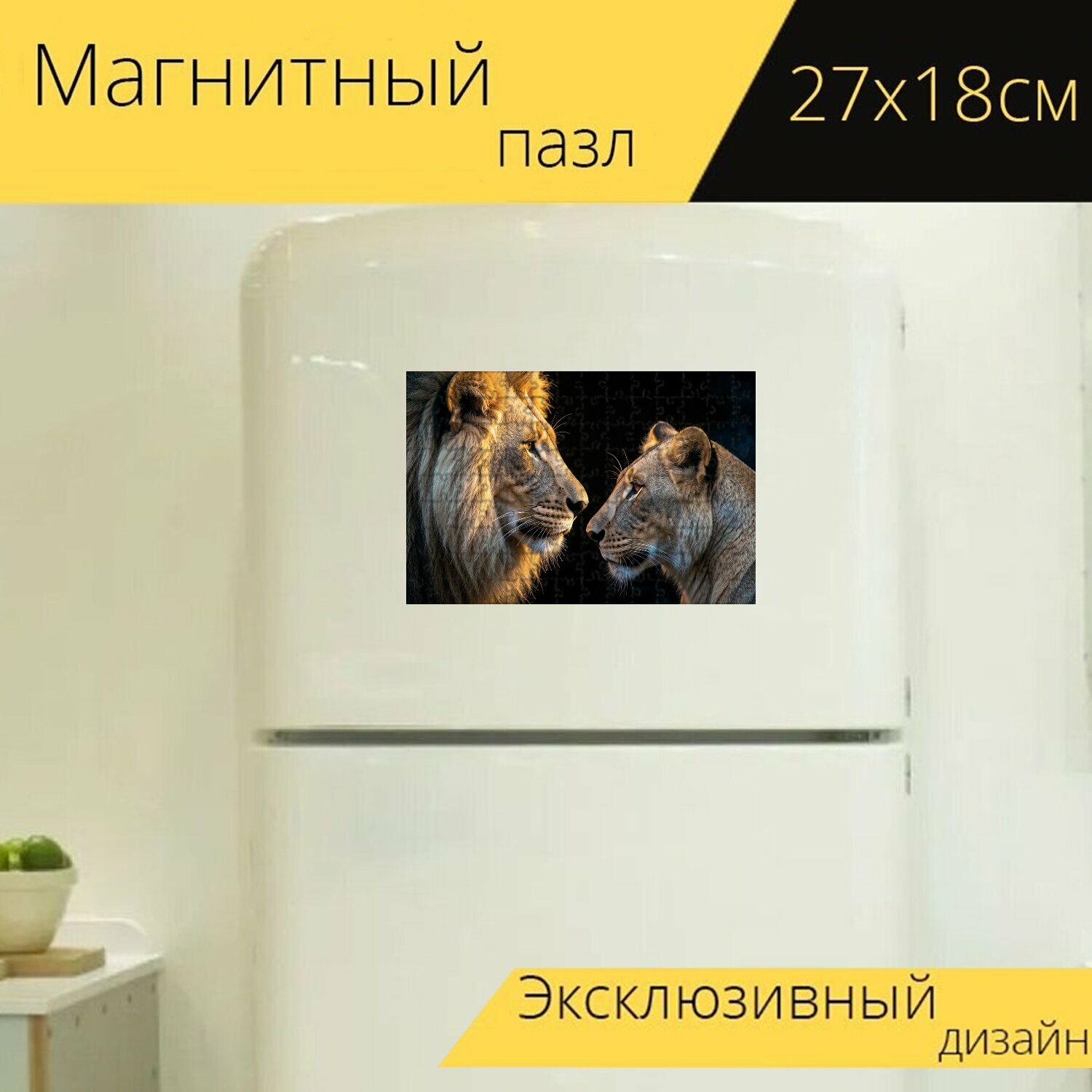 Магнитный пазл "Лев и львица в темноте. Реалистичный крупный план двух хищников лицом к лицу на черном фоне, теплые золотистые и коричневые оттенки." на холодильник 27 x 18 см.