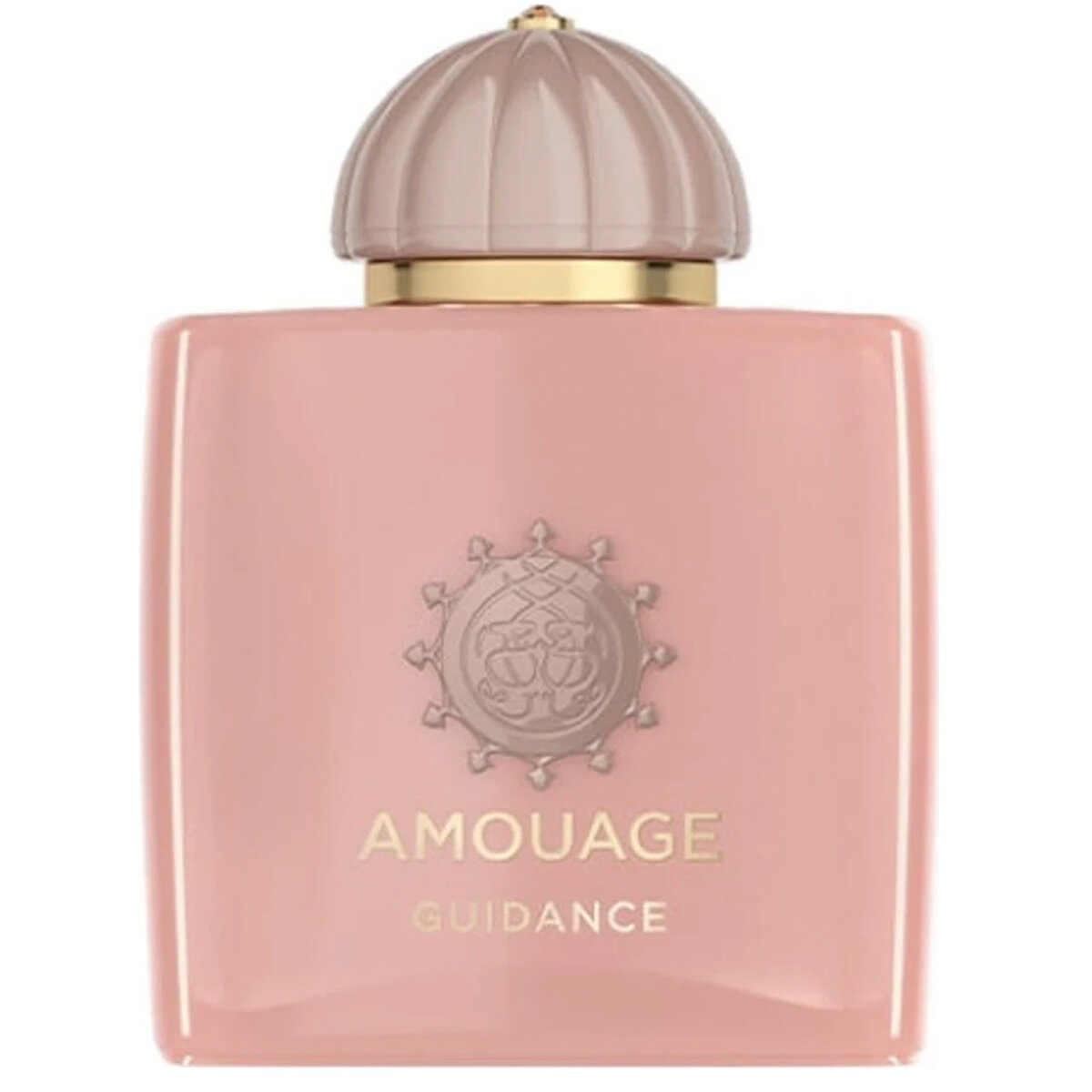 Парфюмерная вода Amouage "Guidance", унисекс, восточные ноты, 100 мл