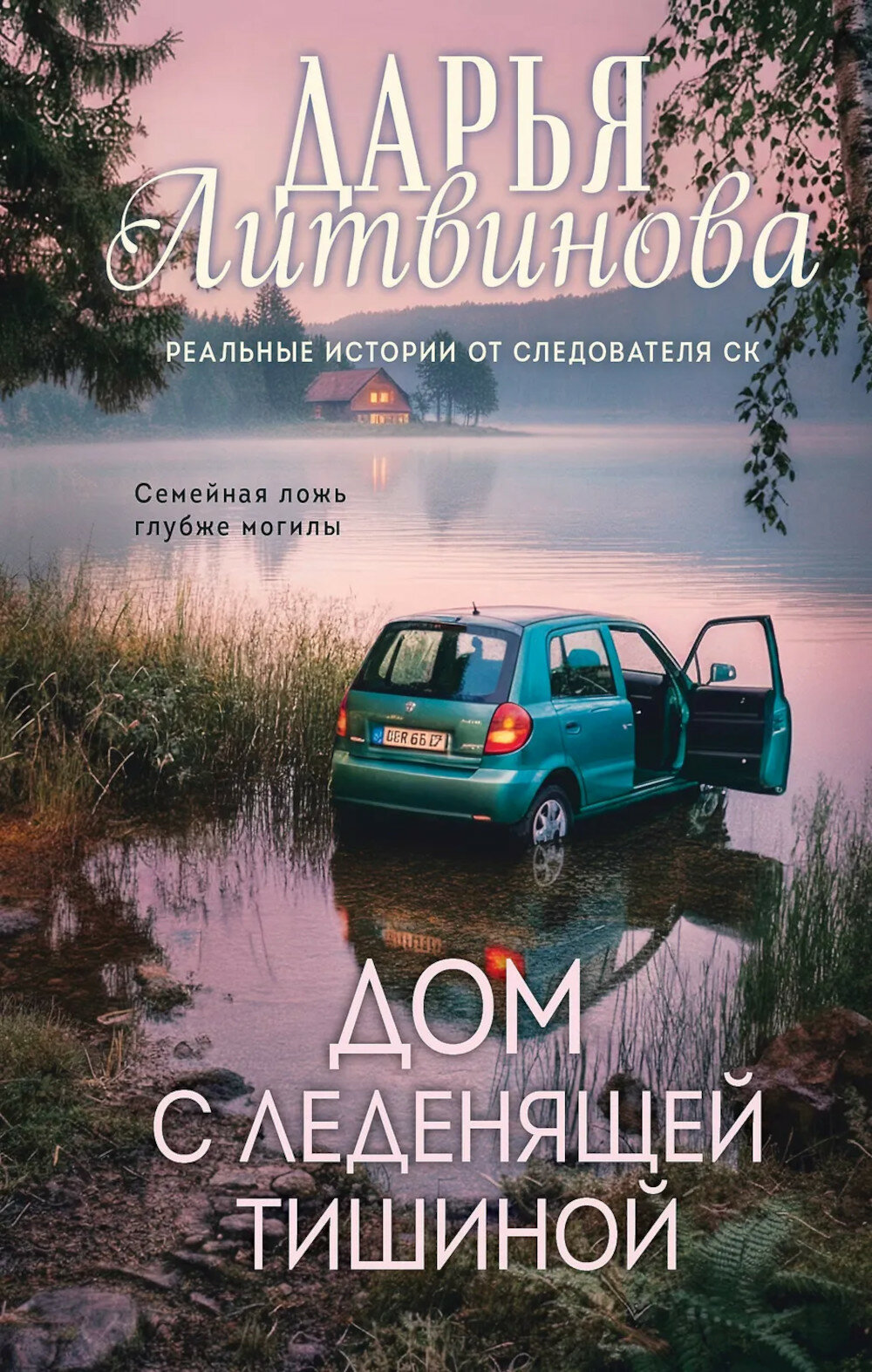 Дом с леденящей тишиной. Литвинова Д. С.