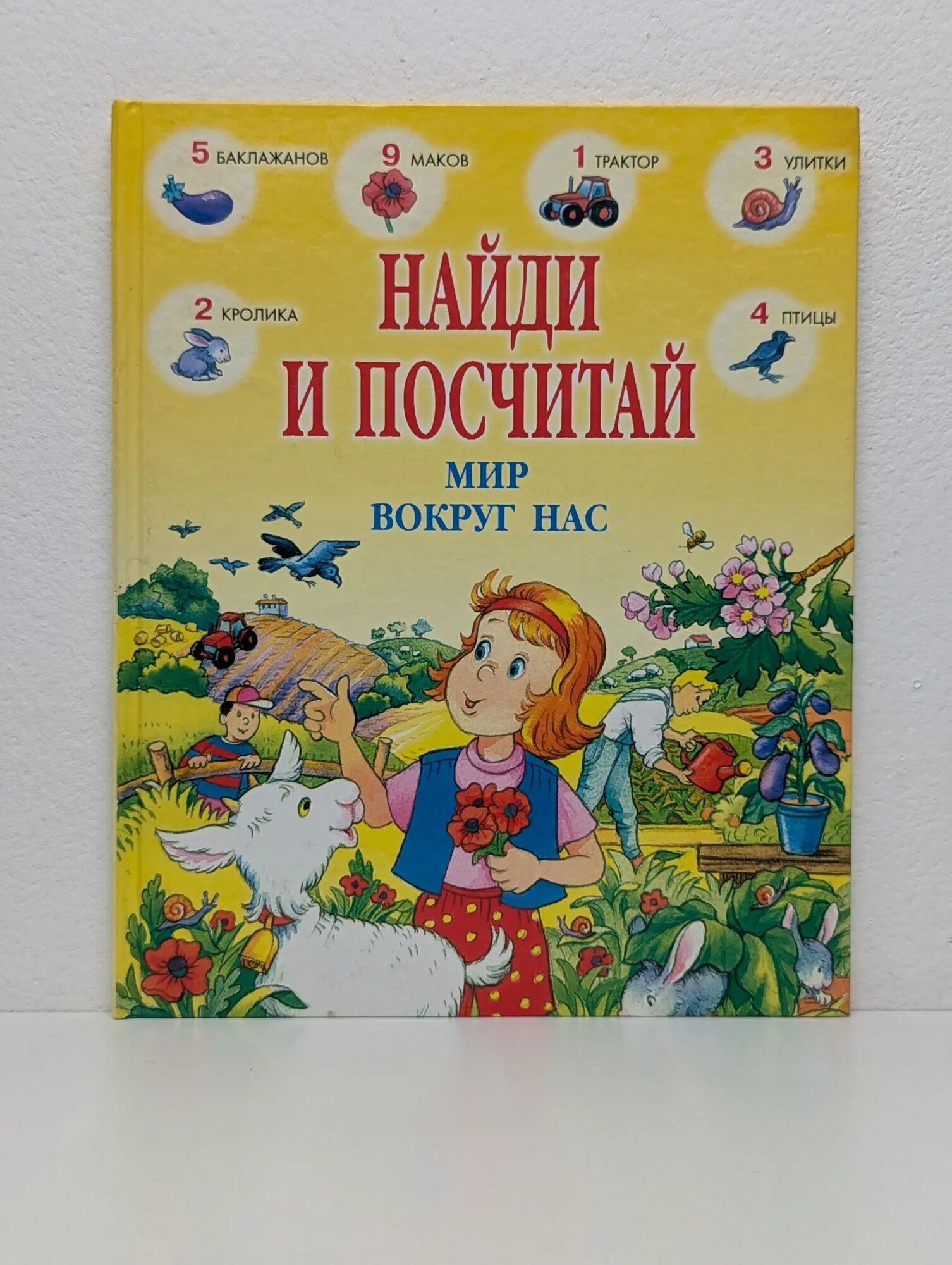 Мир вокруг нас. Найди и посчитай. Мир вокруг нас Милборн Анна, Гаувер Тери 2002