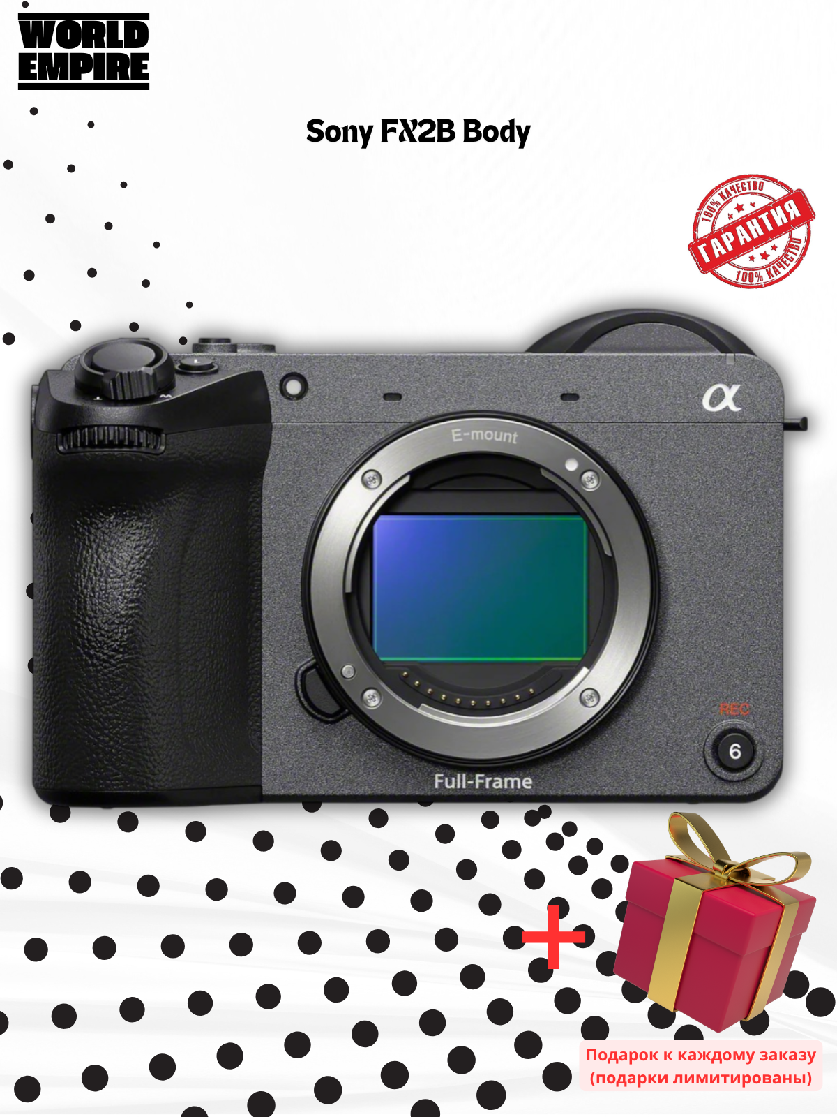 Видеокамера SONY FX2B BODY