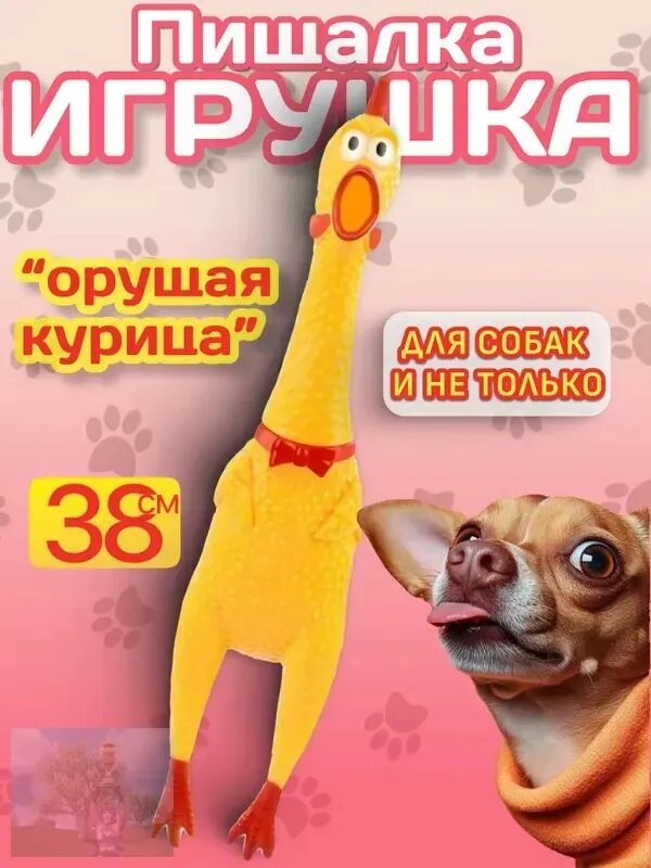 Игрушка Курица пищащая для собак и розыгрышей/ Кричащая пищалка кура/ Орущая курица/ Петух