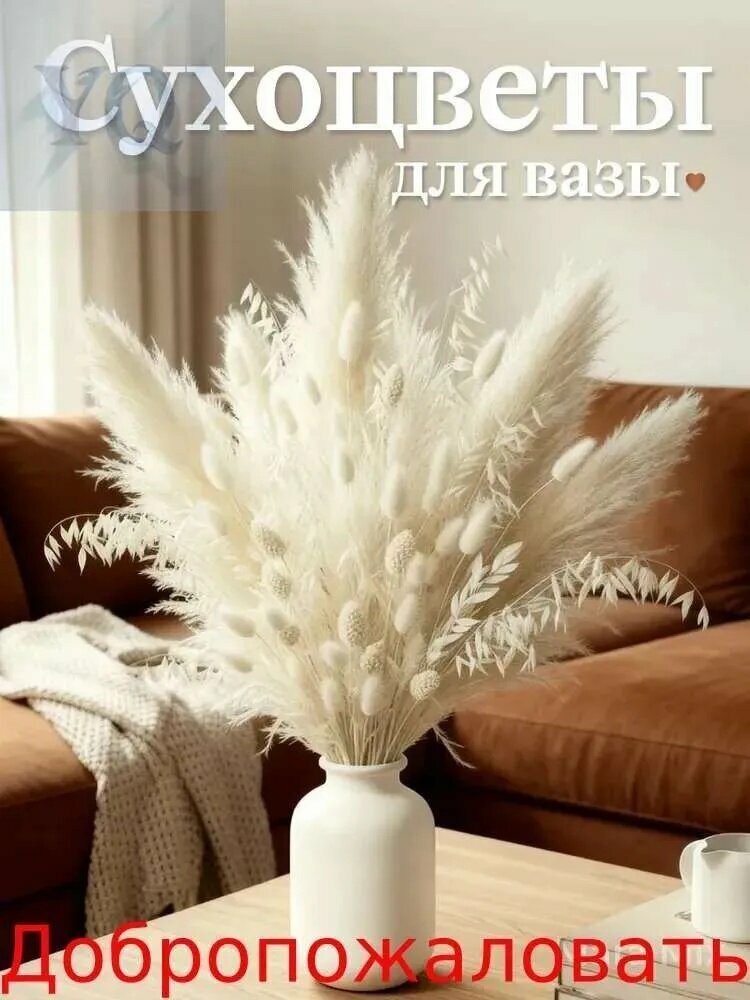 Сухоцветы Лагурус, Пампасная трава