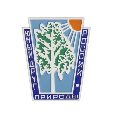 Брошь