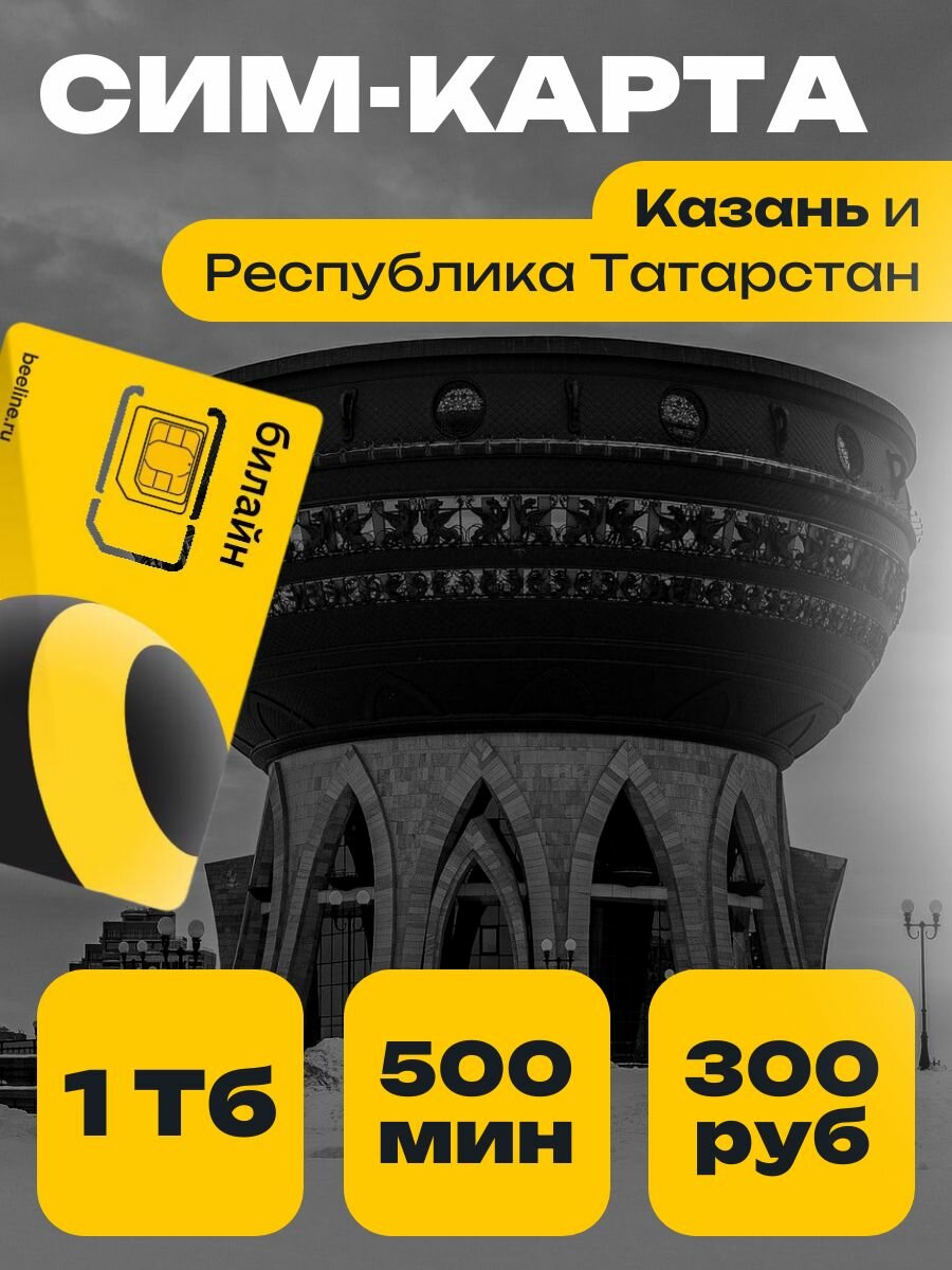 Сим-карта Билайн тариф Эксклюзивный Республика Татарстан 1000 Гб + 500 минут за 300 руб.