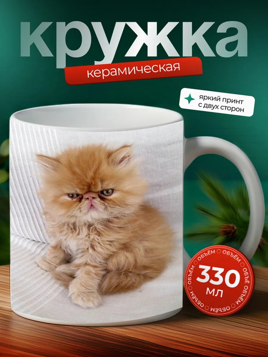 Кружка Иранский персидский кот 27,