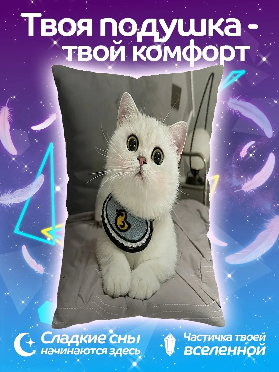 Подушка дакимакура Белый котенок в слюнявчике