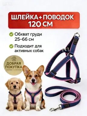 Комплект джинсовая шлейка + ошейник + поводок для собак, надёжная фиксация, не давит на шею, для прогулок