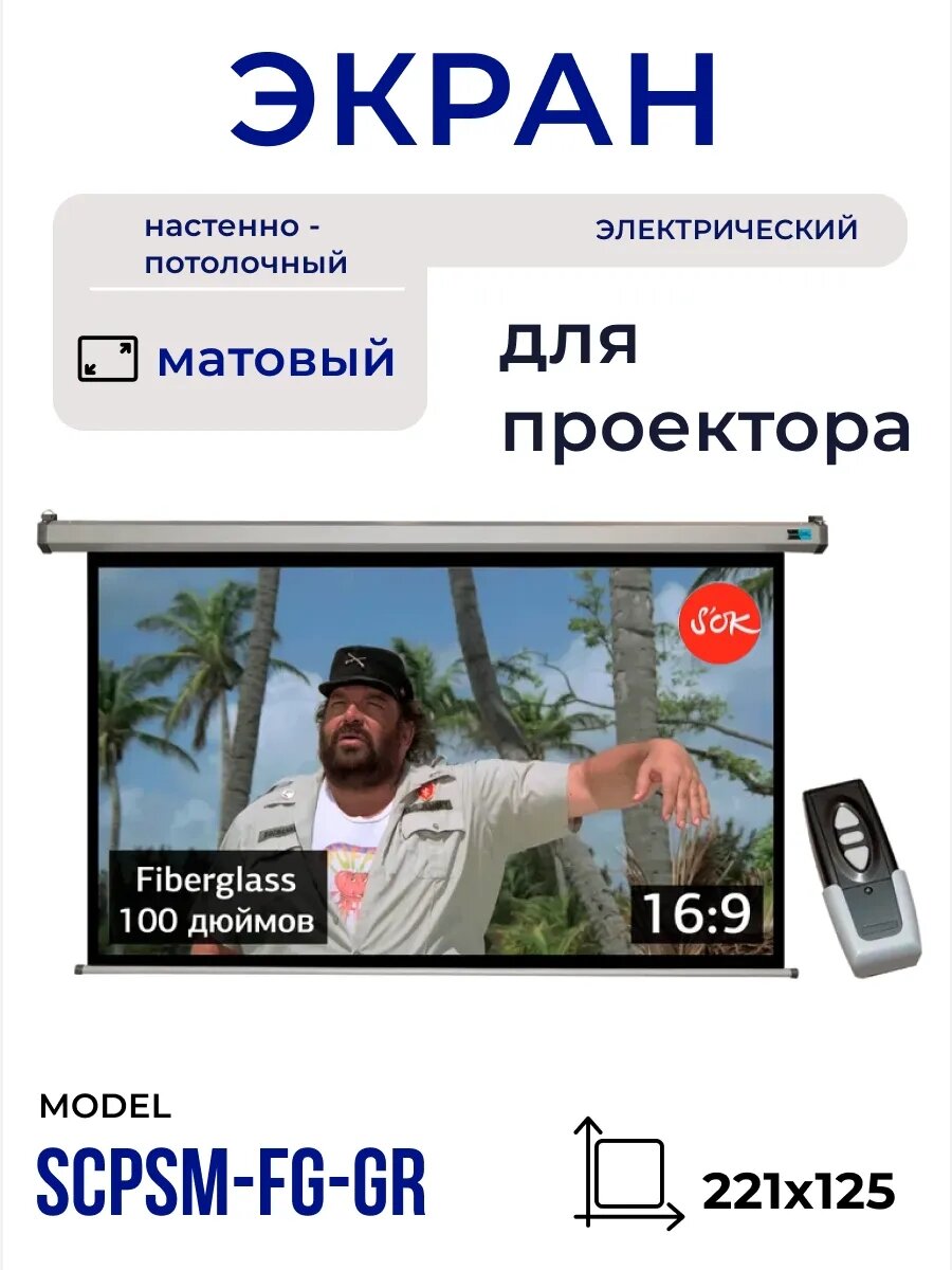 Экран для проектора S'OK SCPSM-221x125FG-GR Pro 100' настенно-потолочный, моторизованный, Fiberglass, серый