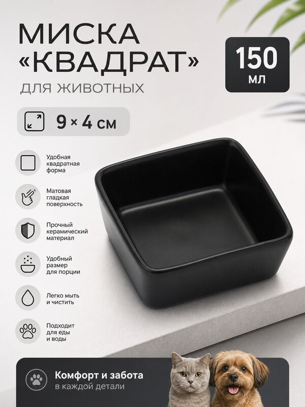 Миска «Квадрат» для животных, 150 мл, 9×4 см, керамика, чёрная