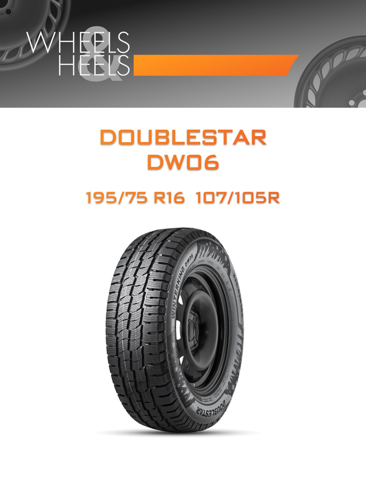 Шина автомобильная DoubleStar DW06 195/75 R16 107/105R WINTER, зимняя, универсальная