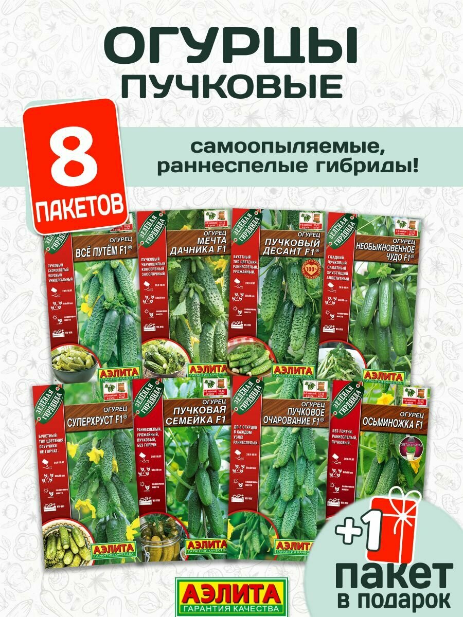 Набор семян Огурцы пучковые 8 пакетов семена огурцов пучковые огурцы пучковые набор