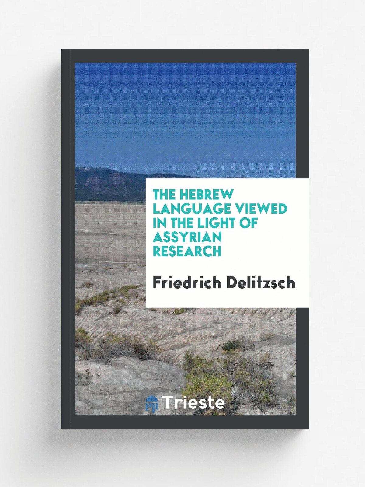 The Hebrew Language Viewed in the Light of Assyrian Research